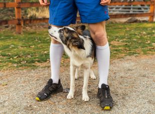 Alpha Sole Compression Socks